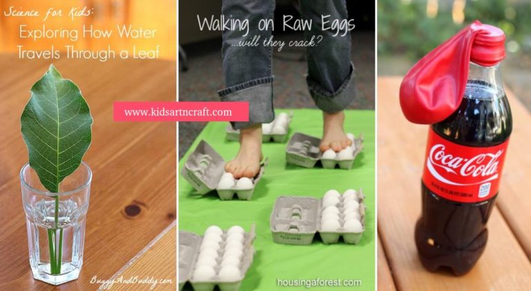 10 Simple Science Experiments for 3-5 Year Olds - Kids Art & Craft