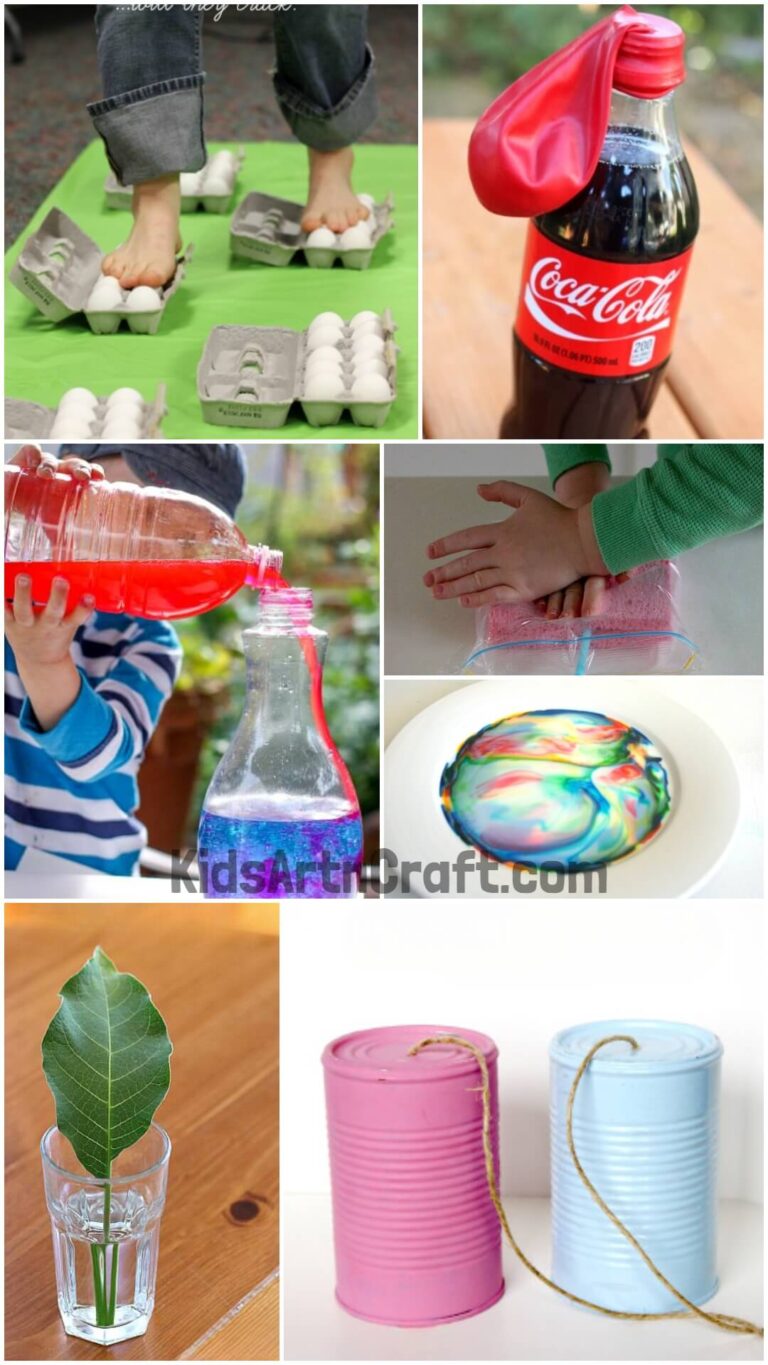 10 Simple Science Experiments for 3-5 Year Olds - Kids Art & Craft