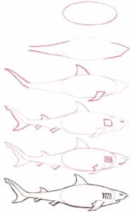 30 Easy to Draw Animals - Step by Step Tutorials - Kids Art & Craft