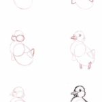 Learn to draw your kids with these ideas - Step by step - Kids Art & Craft