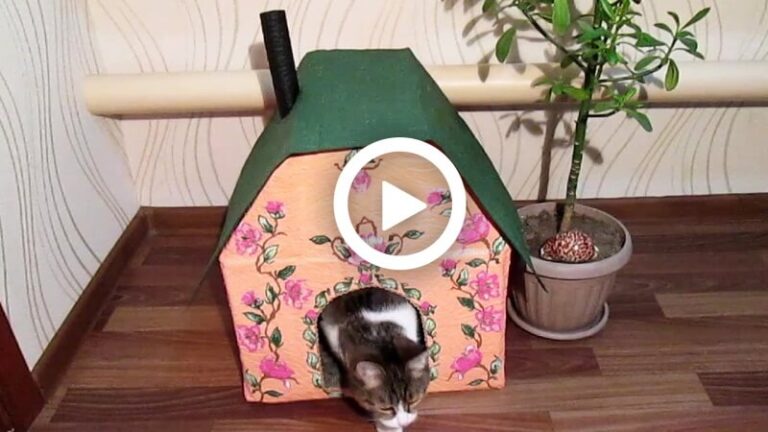How To Make A Cat Lodging House Yourself At Home - Kids Art & Craft