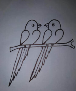 Cute Parrot Couple Drawing Step by Step Tutorial - Kids Art & Craft