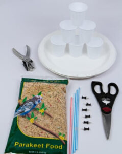 Science Projects for Grade 6 Students - Kids Art & Craft