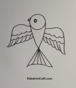 Easy Animal Drawings - Birds & More - Kids Art & Craft