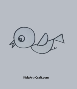 Easy Animal Drawings - Birds & More - Kids Art & Craft