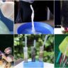 Outdoor Science Experiments for Kids - Kids Art & Craft