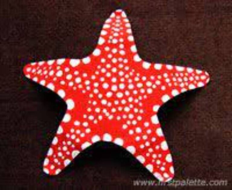 Starfish Crafts & Activities for Kids - Kids Art & Craft