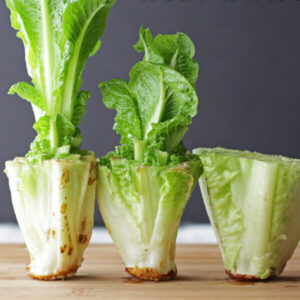 DIY Vegetable Activity Ideas For Kids - Kids Art & Craft
