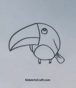 Easy Animal Drawings - Birds & More - Kids Art & Craft