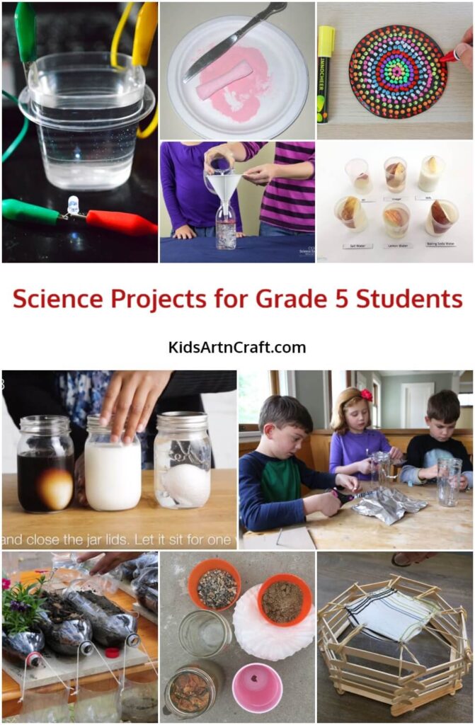 Science Projects for Grade 5 Students - Kids Art & Craft