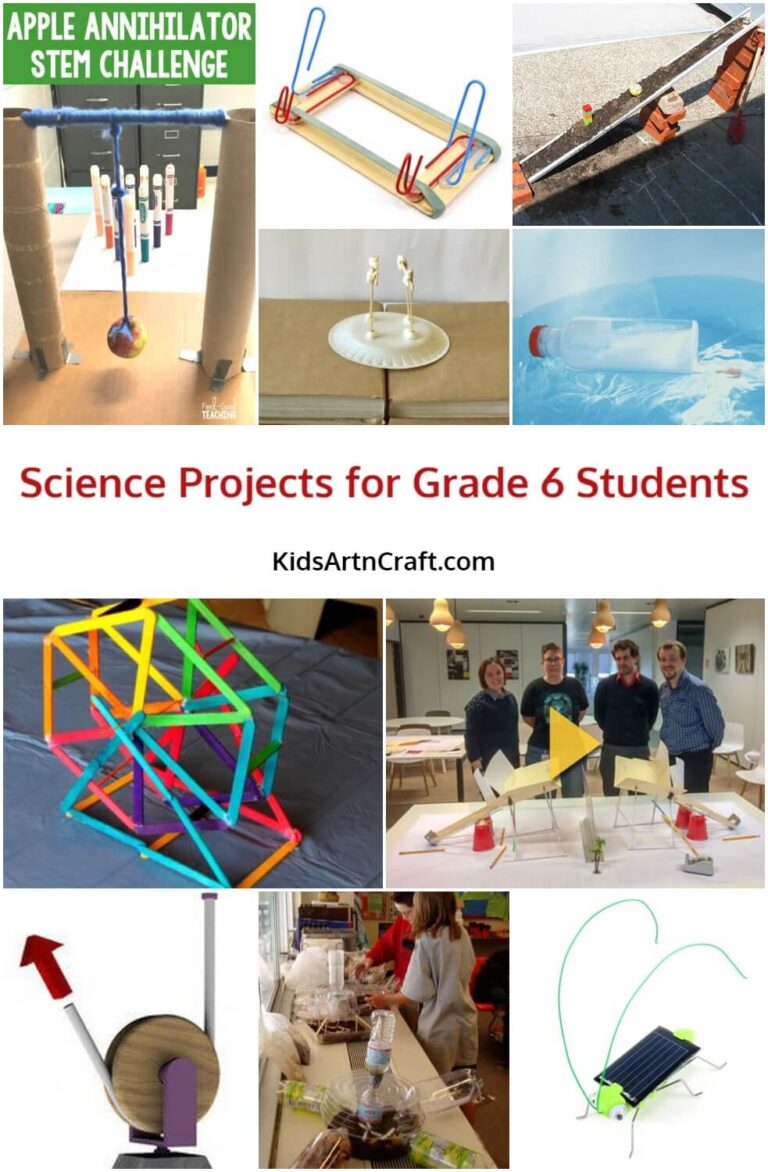 Science Projects for Grade 6 Students - Kids Art & Craft