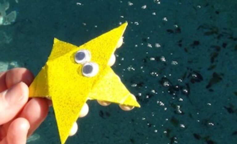 Starfish Crafts & Activities for Kids - Kids Art & Craft