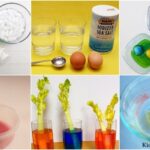 10 Simple Science Experiments for 3-5 Year Olds - Kids Art & Craft