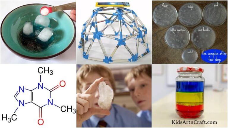 7th Grade Science Fair Projects - Kids Art & Craft