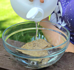 Science Experiment Ideas For Kids - Kids Art & Craft