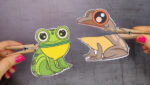 Toad Crafts & Activities for Kids - Kids Art & Craft