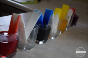 Science Projects for 4th Grade Students - Kids Art & Craft
