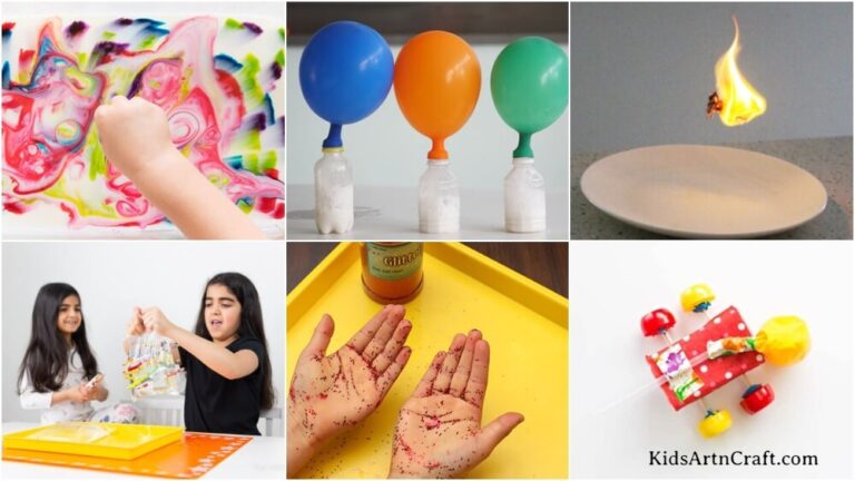 Science Activities for Kindergarten - Kids Art & Craft