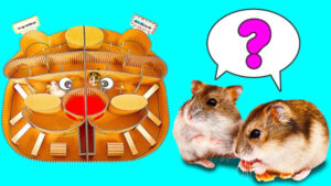 Hamster Crafts & Activities for Kids - Kids Art & Craft