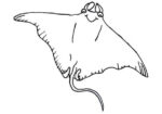 Stingray Crafts & Activities for Kids - Kids Art & Craft