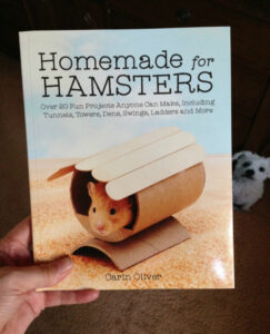 Hamster Crafts & Activities for Kids - Kids Art & Craft