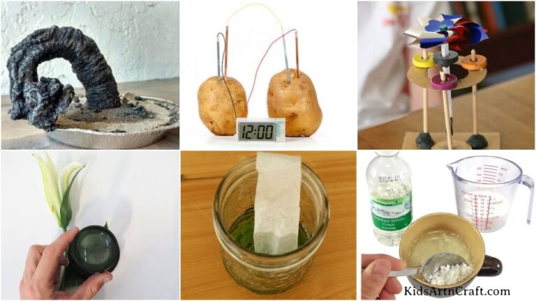 Science Fair Projects Ideas For 6th-Grade - Kids Art & Craft