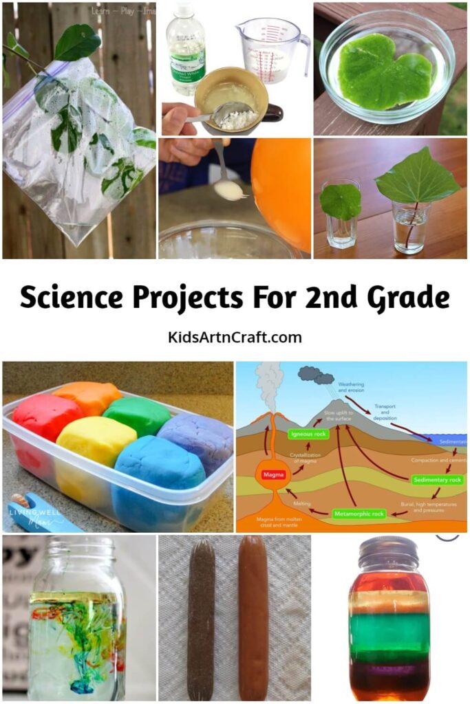 Science Projects for Grade 2 - Kids Art & Craft