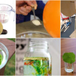 Science Projects for Grade 6 Students - Kids Art & Craft