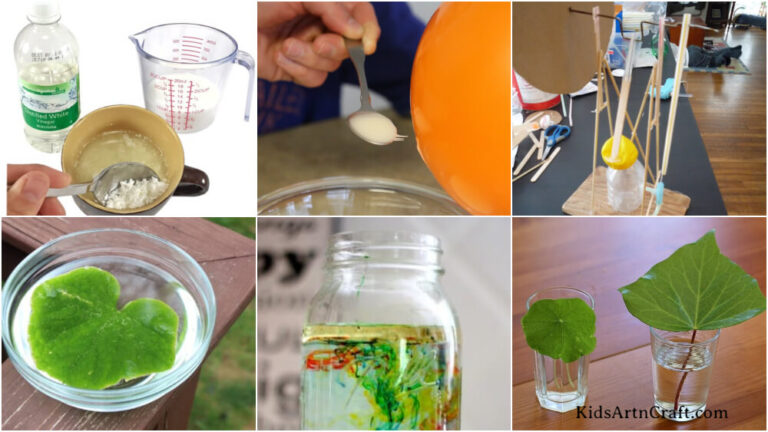 Science Projects for Grade 2 - Kids Art & Craft