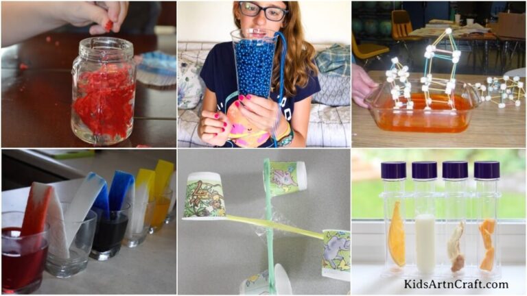 Science Projects for 4th Grade Students - Kids Art & Craft