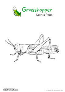 Grasshopper Coloring Pages For Kids – Free Printables - Kids Art & Craft