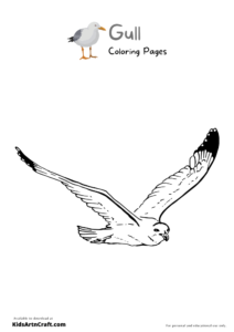 Gull Coloring Pages For Kids – Free Printables - Kids Art & Craft