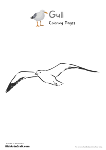 Gull Coloring Pages For Kids – Free Printables - Kids Art & Craft