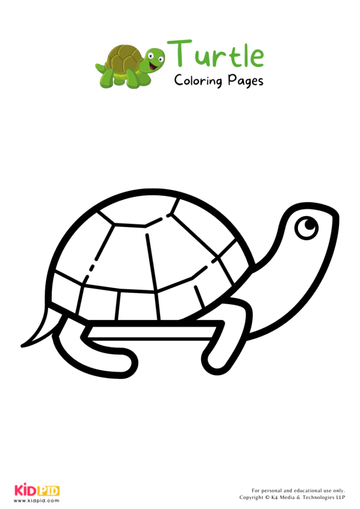 Turtle Coloring Pages For Kids – Free Printables - Kids Art & Craft