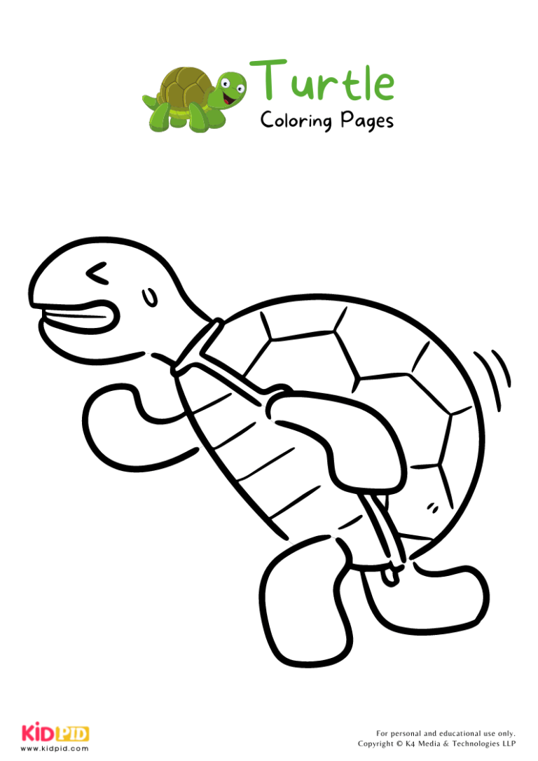 Turtle Coloring Pages For Kids – Free Printables - Kids Art & Craft