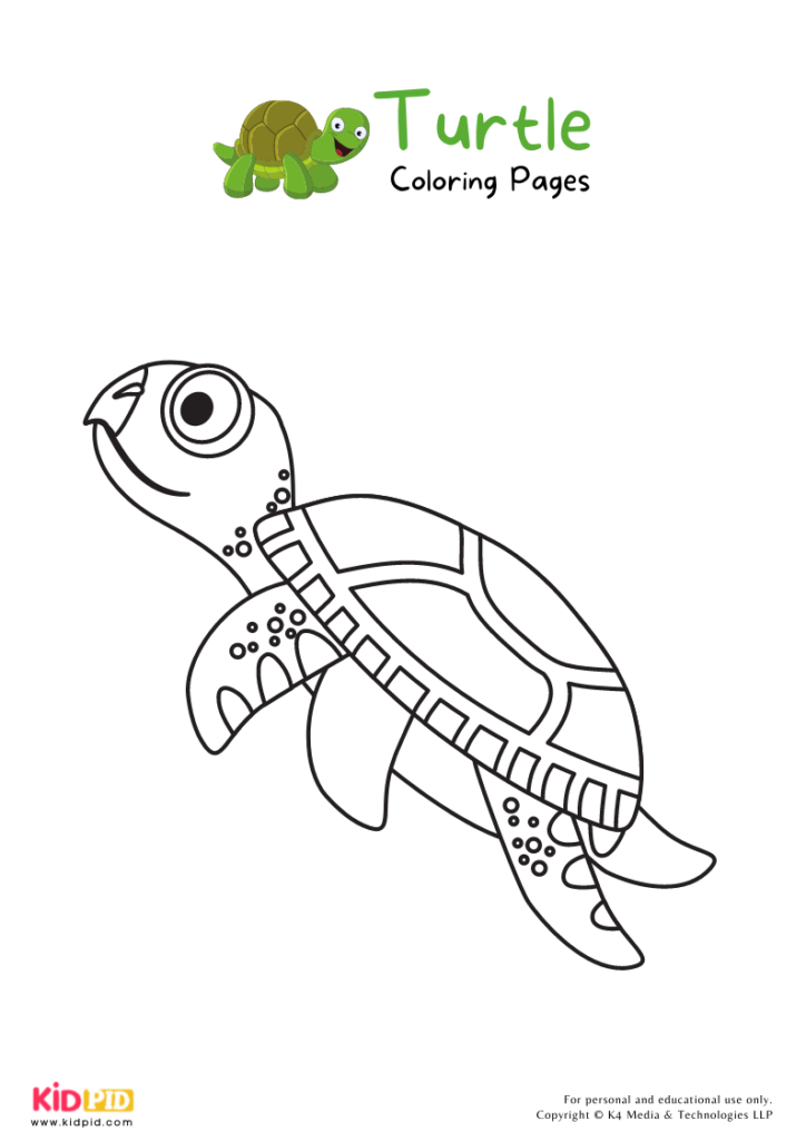 Turtle Coloring Pages For Kids – Free Printables - Kids Art & Craft