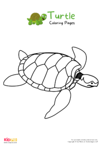 Turtle Coloring Pages For Kids – Free Printables - Kids Art & Craft