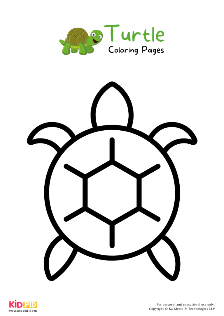 Turtle Coloring Pages For Kids – Free Printables - Kids Art & Craft