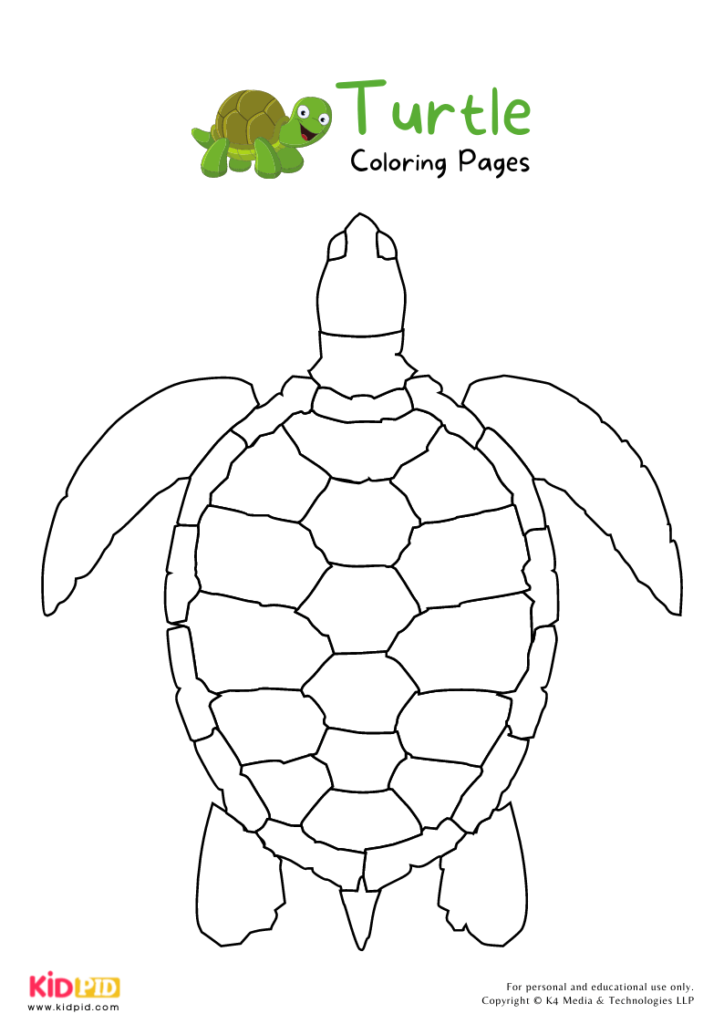 Turtle Coloring Pages For Kids – Free Printables - Kids Art & Craft