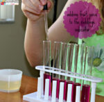 Science Fair Projects & Experiments for Grade 7 - Kids Art & Craft