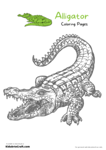 Alligator Coloring Pages For Kids – Free Printables - Kids Art & Craft