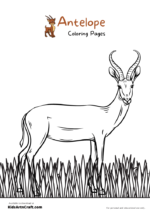 Antelope Coloring Pages For Kids – Free Printables - Kids Art & Craft