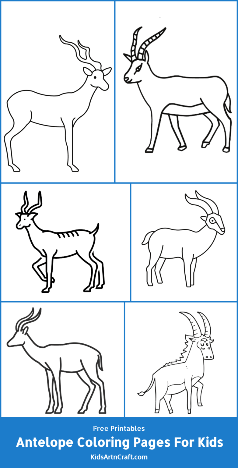 Antelope Coloring Pages For Kids – Free Printables - Kids Art & Craft