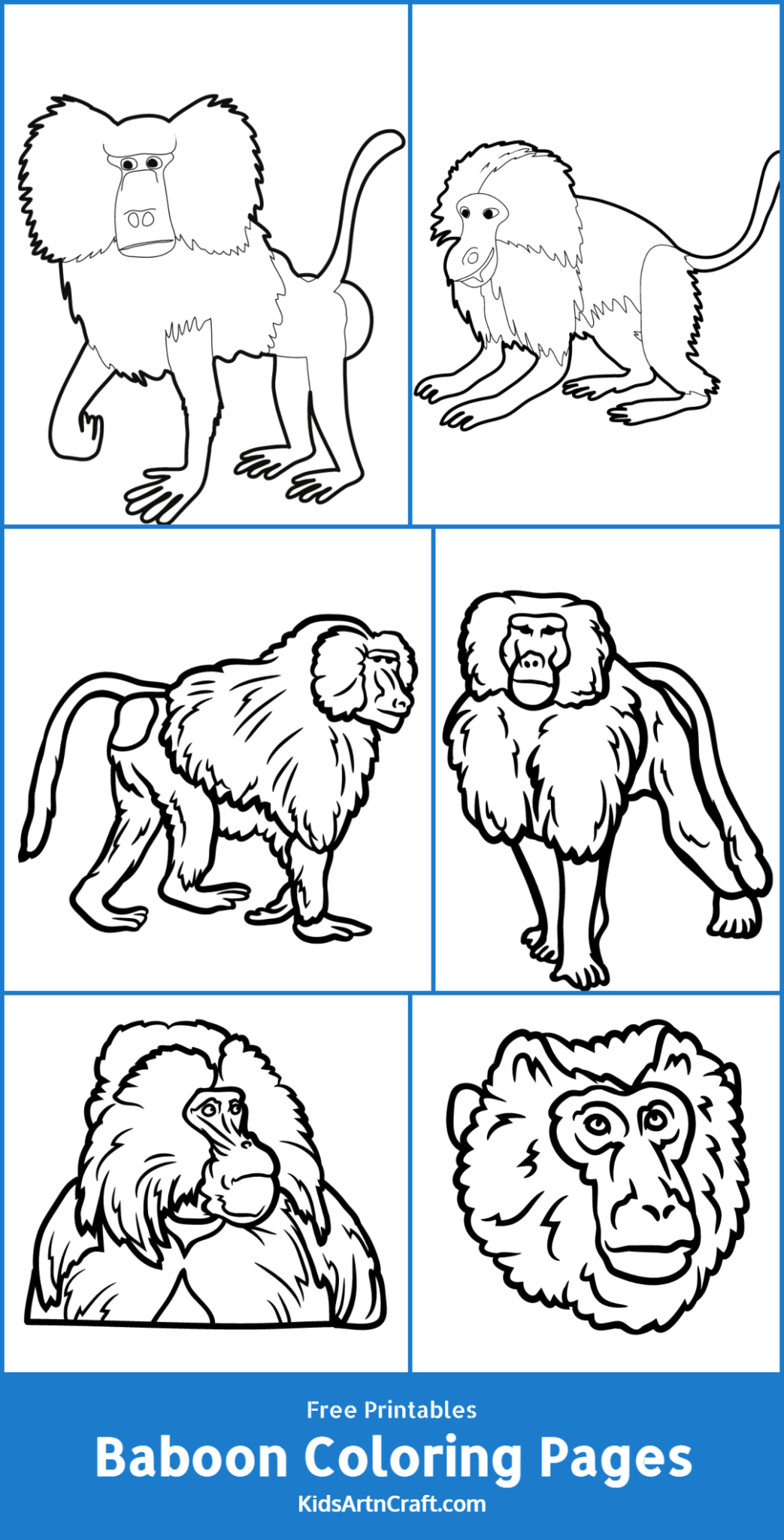 Baboon Coloring Pages For Kids – Free Printables - Kids Art & Craft