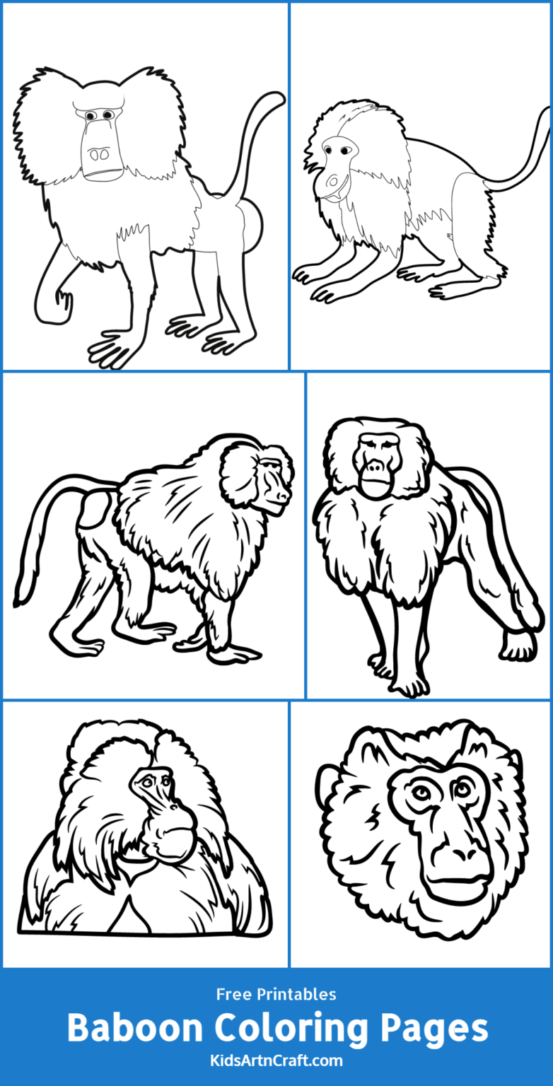 Baboon Coloring Pages For Kids – Free Printables - Kids Art & Craft