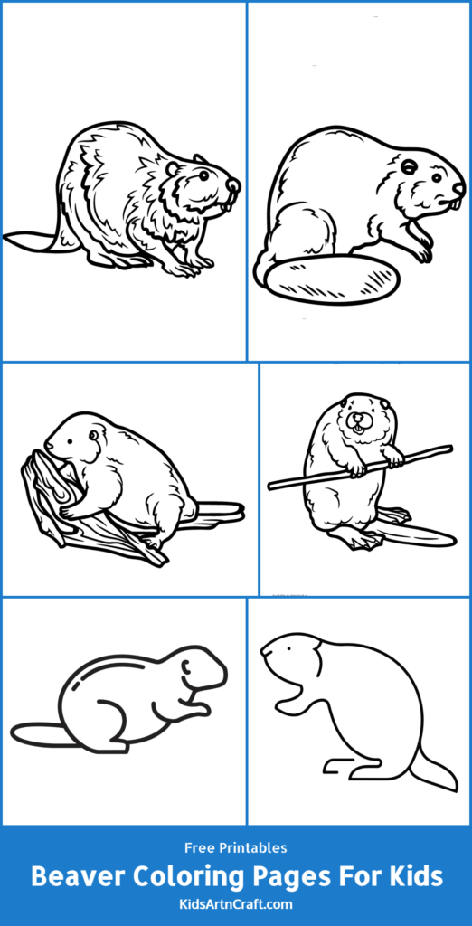 Beaver Coloring Pages For Kids – Free Printables - Kids Art & Craft