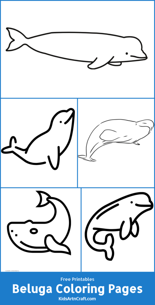 Beluga Coloring Pages for Kids – Free Printables - Kids Art & Craft