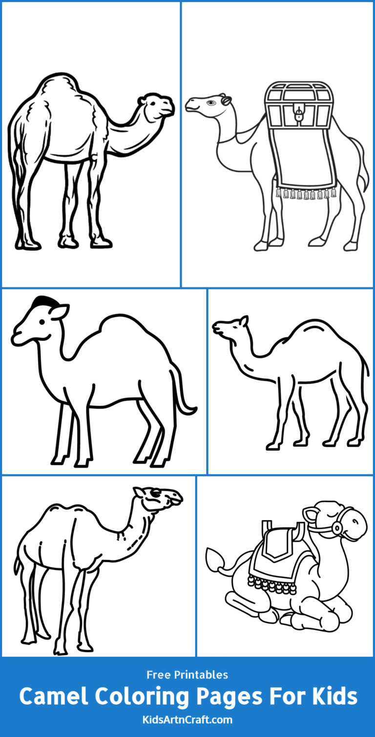 Camel Coloring Pages for Kids – Free Printables - Kids Art & Craft