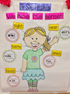 Creative Ways to Teach Five Senses - Kids Art & Craft