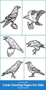 Crow Coloring Pages for Kids – Free Printables - Kids Art & Craft